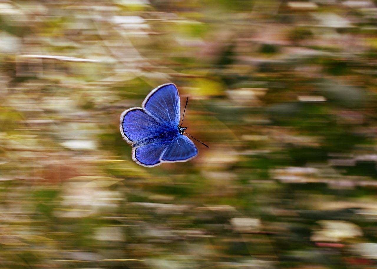 Migrating Your Data from Drupal 7 to Drupal 10: Syntax and structure of ... Migrating Your Data from Drupal 7 to Drupal 10: Syntax and structure of ...